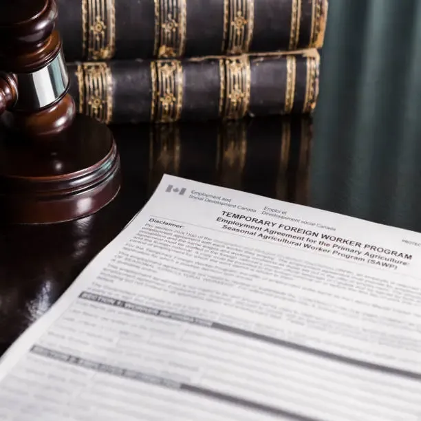 Understanding the LMIA Process: A Step-by-Step Guide for Employers in ...